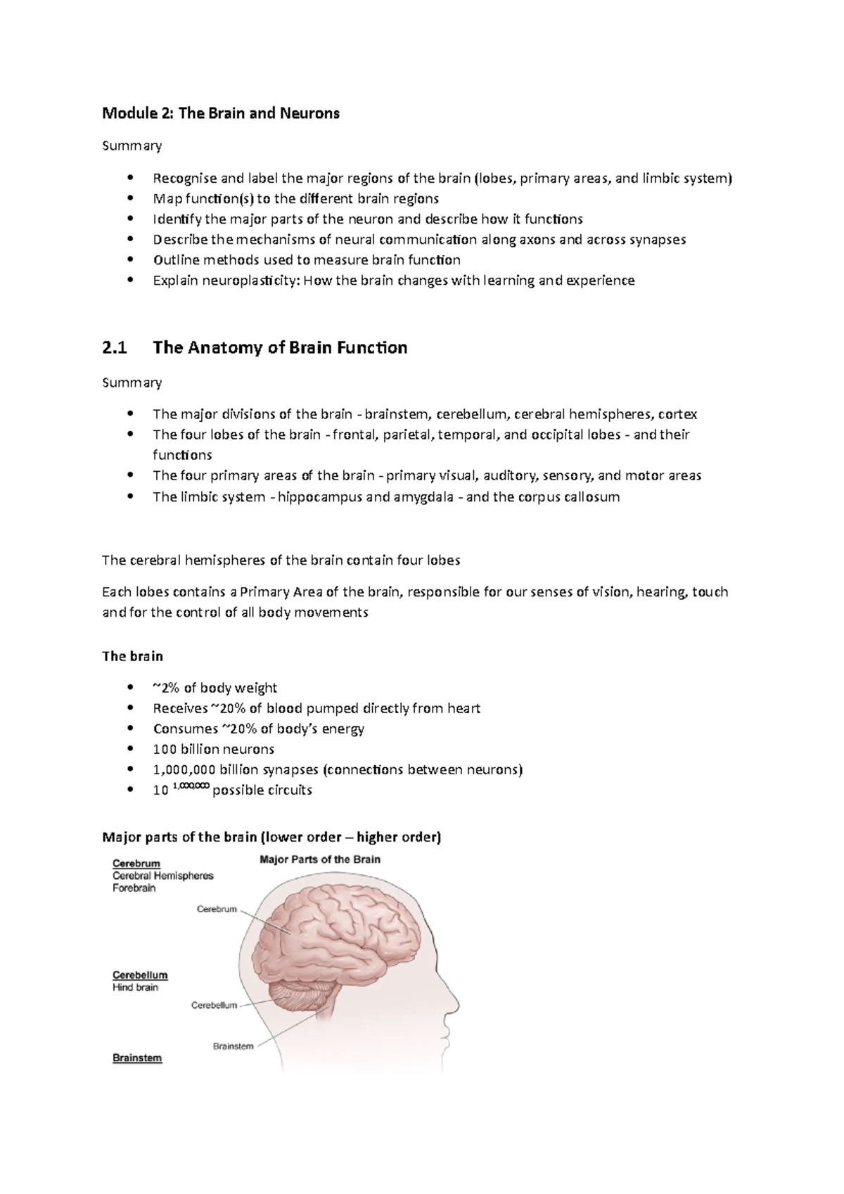 NEUR Module 2 - Module 2: The Brain and Neurons Summary Recognise and ...
