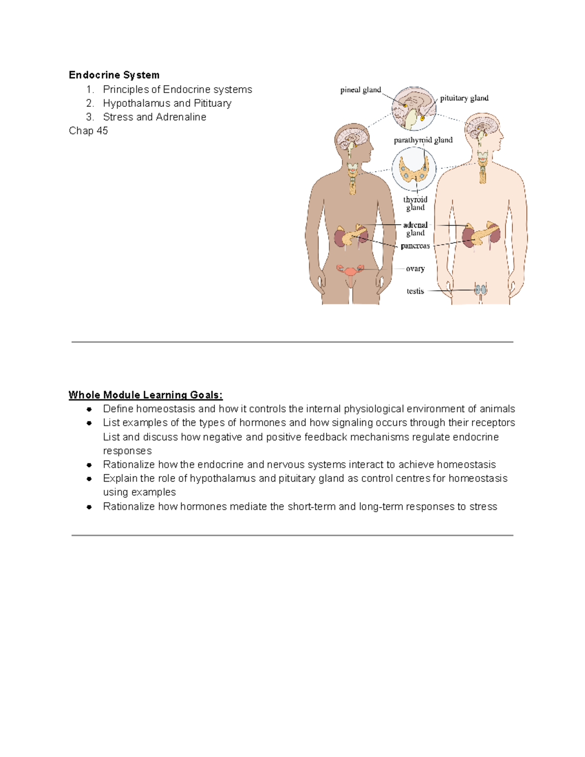 Module 6 Endocrines - Endocrine System 1. Principles of Endocrine ...