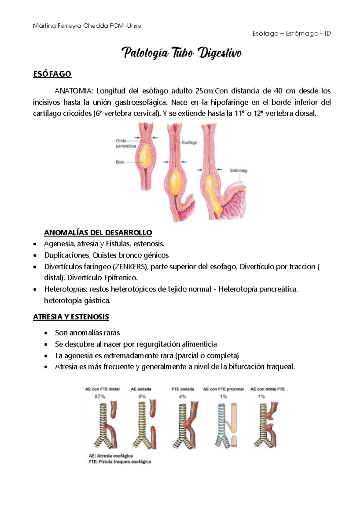 PATO Esófago Estómago e ID - Esófago – Estómago - ID ESÓFAGO ANATOMIA ...