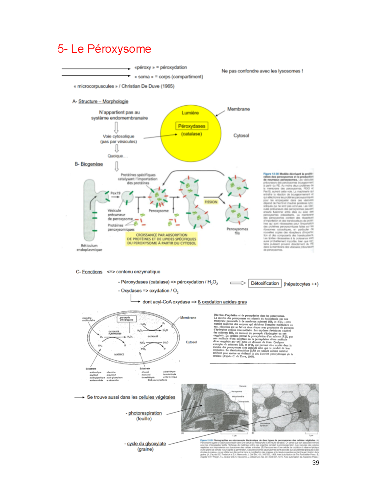 I-5- Le péroxysome -Biologie Cellulaire- I- Organisation fonctionnelle ...