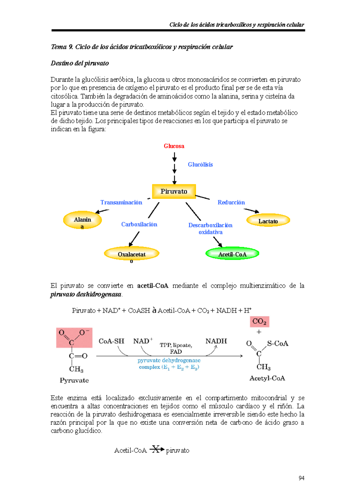 Tema9 - ciclo de kreb - Tema 9. Ciclo de los ácidos tricatboxólicos y ...