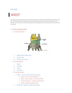 Elbow Joint Anatomy Notes - Feb. 2019 ELBOW The elbow joint is a hinge ...