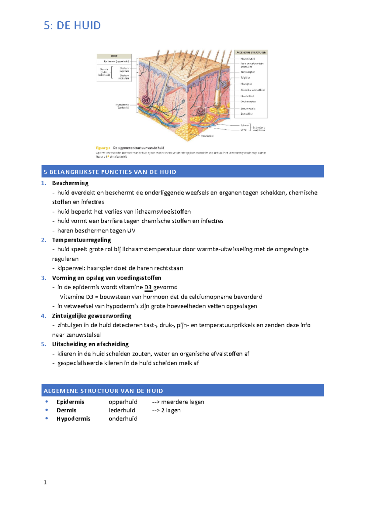 HT5- Huid - anatomie huid - 5: DE HUID 5 BELANGRIJKSTE FUNCTIES VAN DE ...