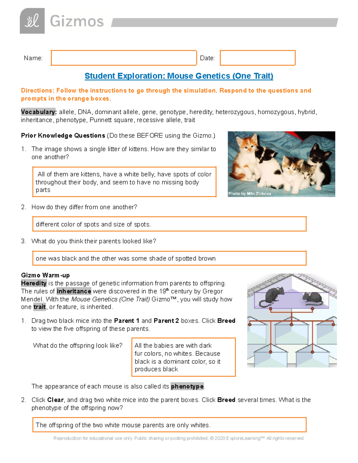 Copy of Mouse Genetics SE this is homework - Name: Date: Student ...