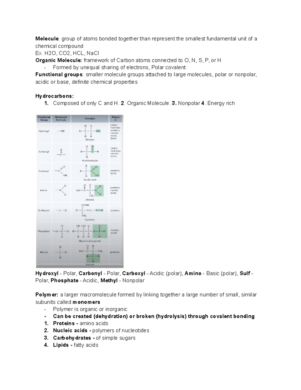 BIOL Proteins Nucleic Acids - Molecule: group of atoms bonded together ...