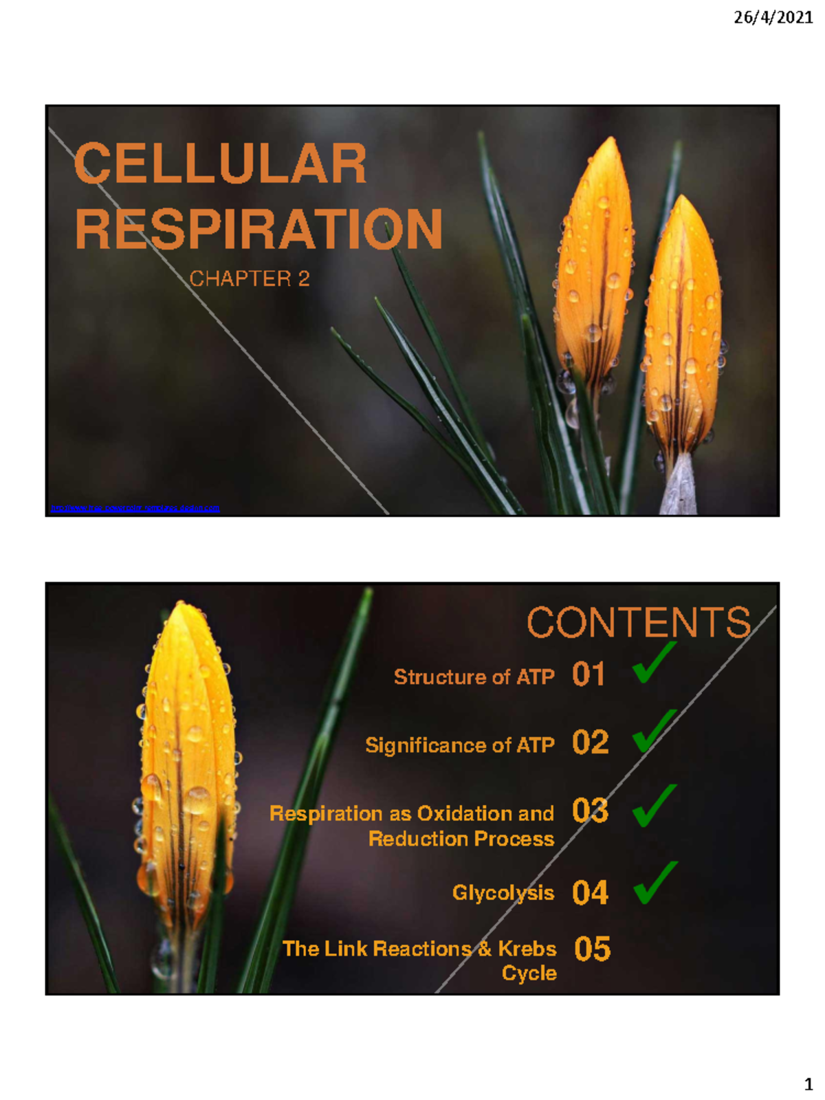 2.4 Cellular Respiration - free-powerpoint-templates-design CELLULAR ...
