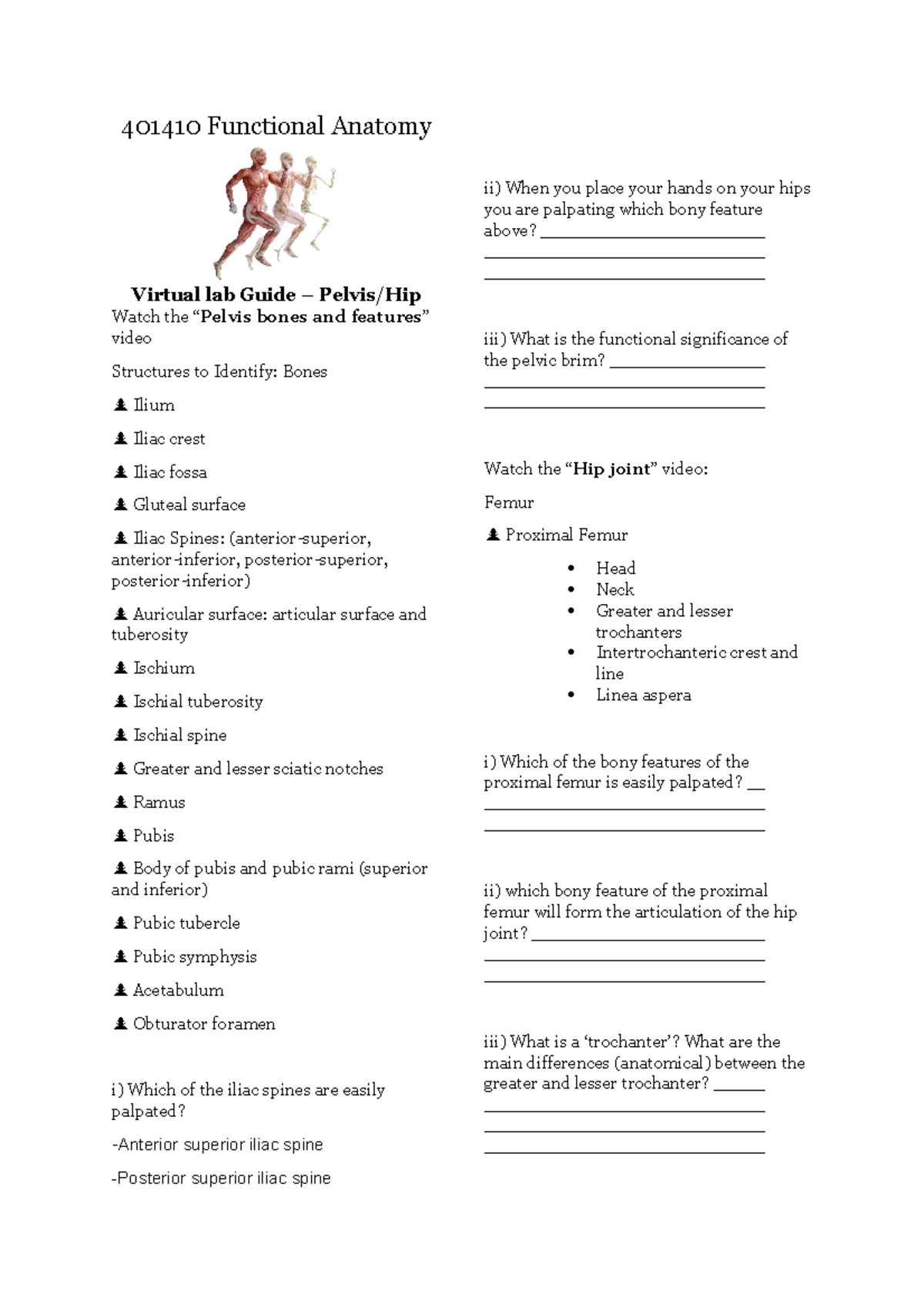 401410 Functional Anatomy Lab Guide 2 - 401410 Functional Anatomy ...