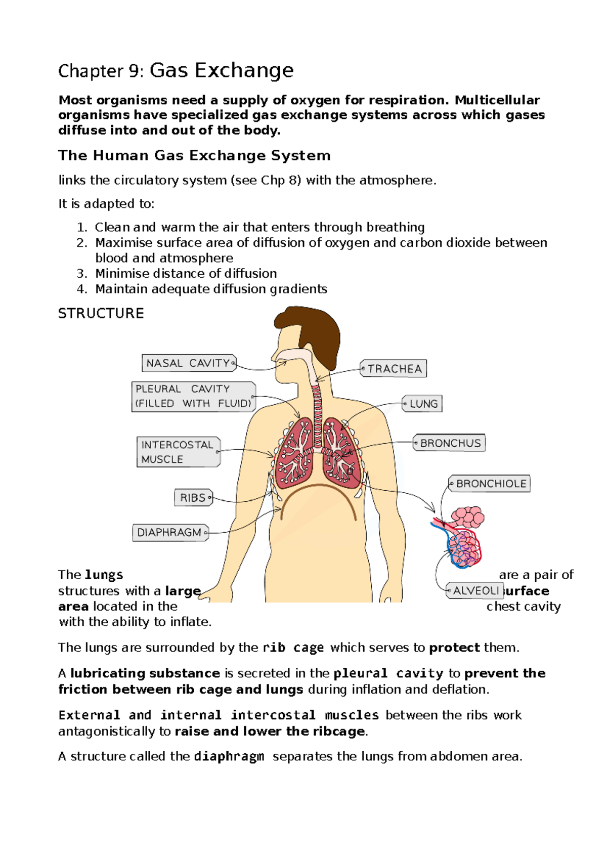 Notes Chp 9 Gas exchange - Chapter 9: Gas Exchange Most organisms need ...