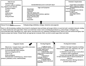 Nstemi - Rhioewqhfipewqhifphweqipjfipewqjfipqw - PATHOPHYSIOLOGY ...