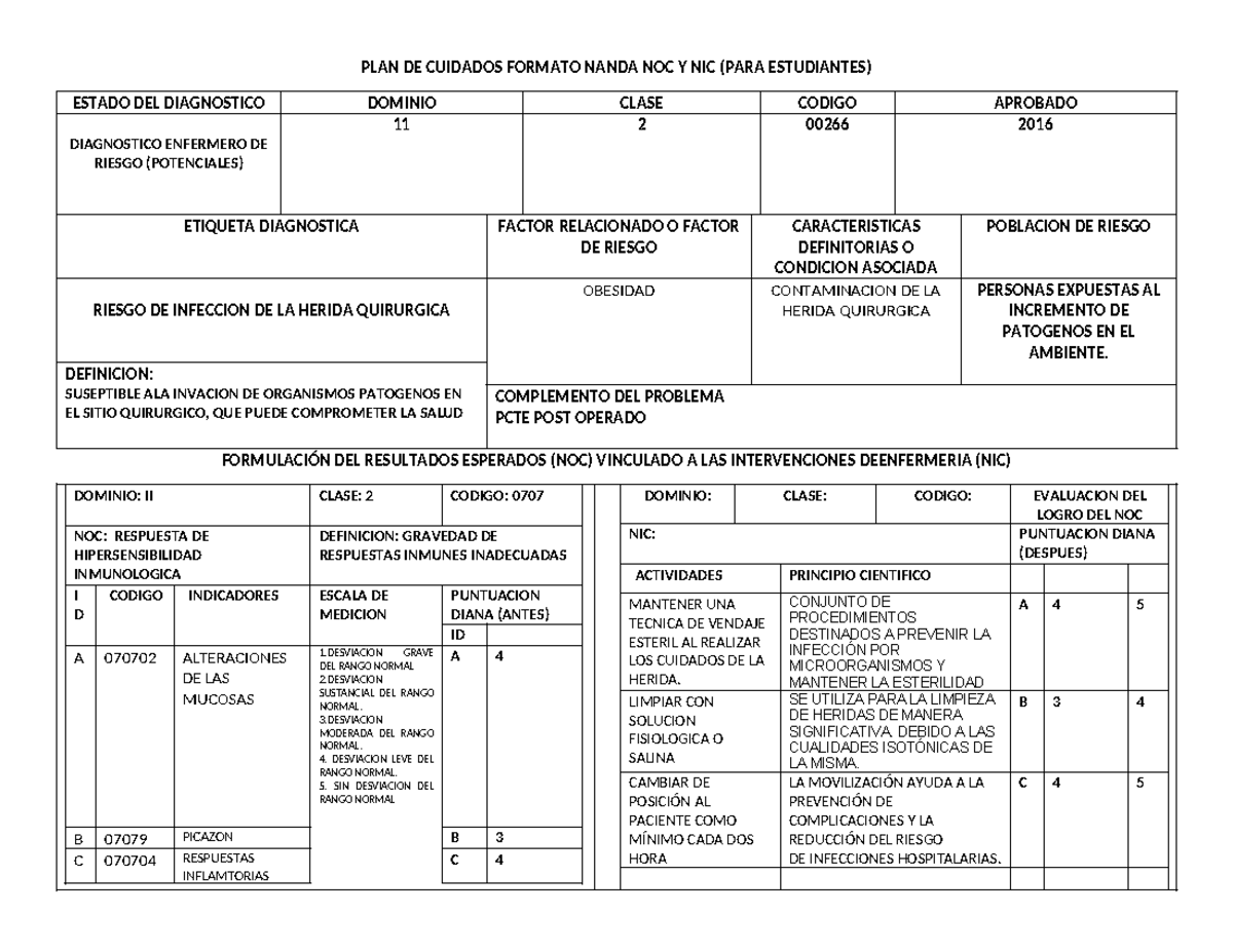 1ER PLAN - PLAN DE CUIDADOS FORMATO NANDA NOC Y NIC (PARA ESTUDIANTES ...