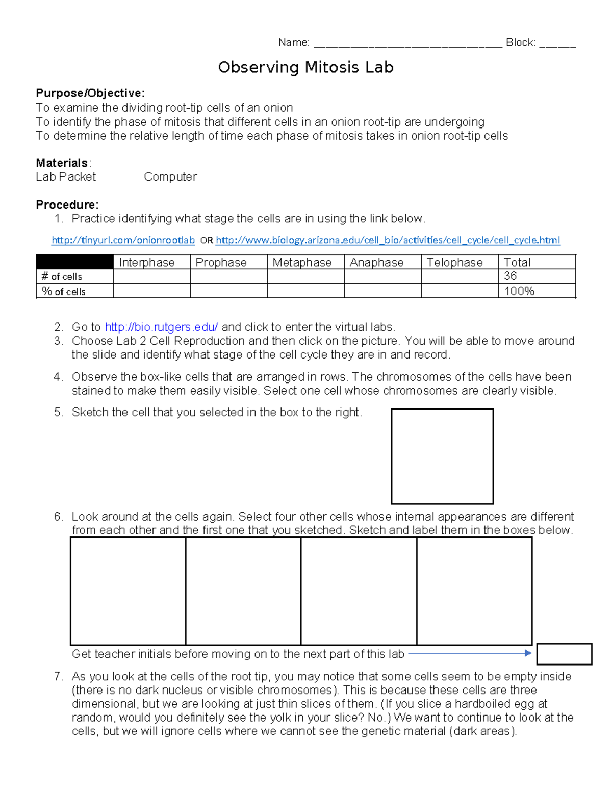 Mitosis Onion Lab - Bio assignment - Name ...
