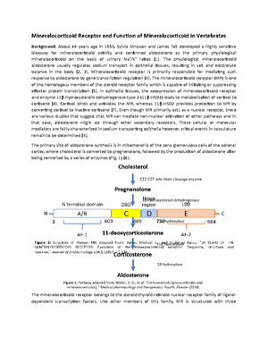 Lecture 17 - Metabolic flexibility - ANS - Metabolic flexibility ...
