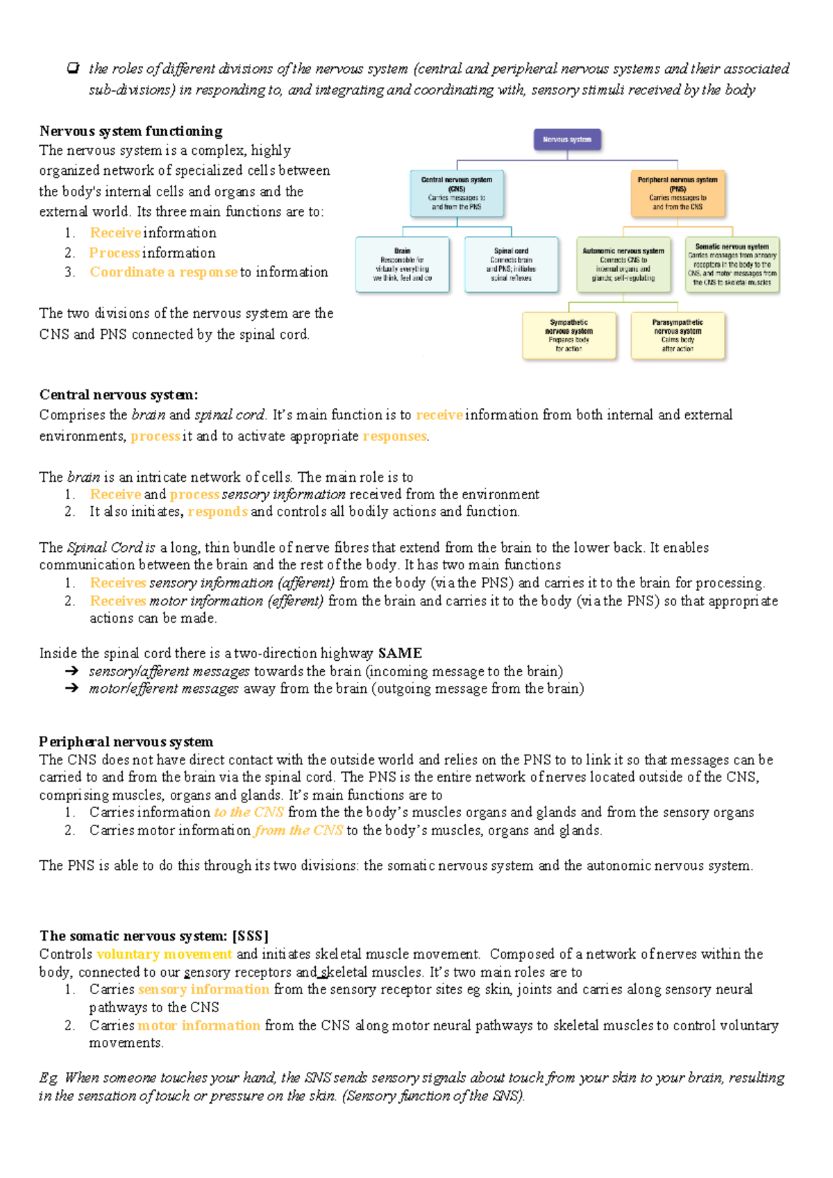 UNIT 3 AOS 1 - lol - the roles of different divisions of the nervous ...