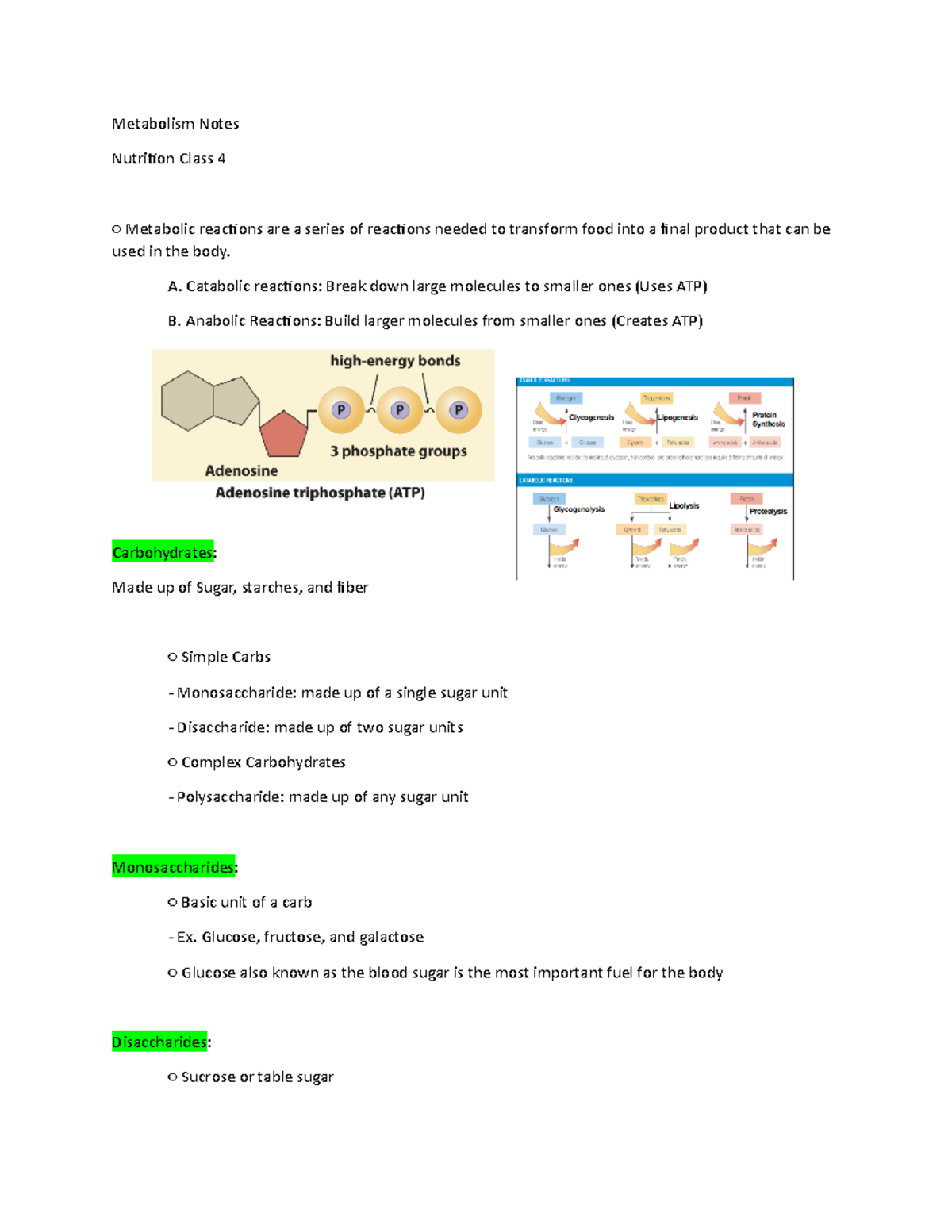 Nutrition Class 4 Metabolism - Metabolism Notes Nutrition Class 4 ...