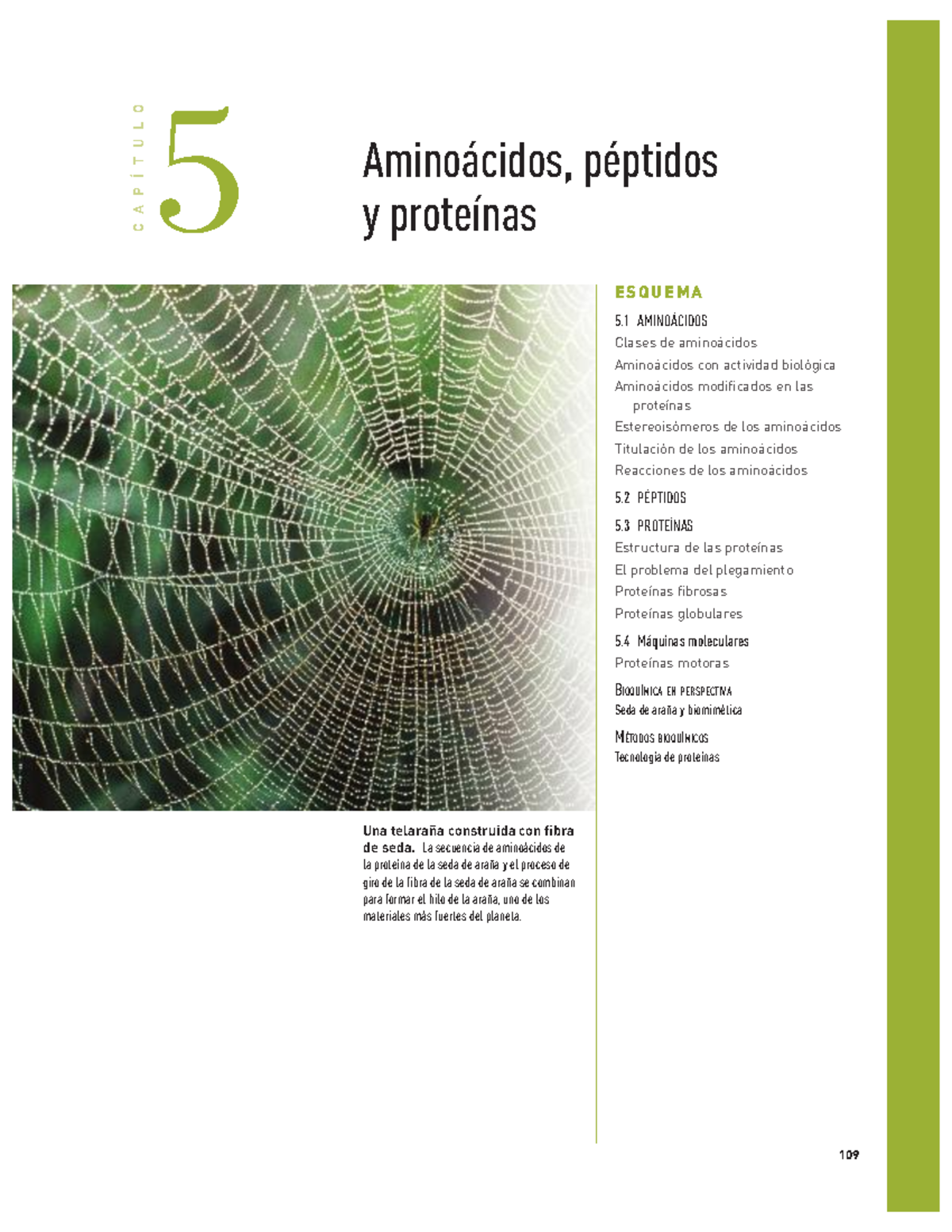 Aminoacidos - C A P Í T U L O 109 5 Una telaraña construida con fibra de seda. La secuencia de ...
