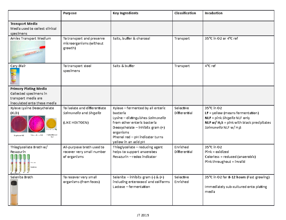Microbio Media Presentation 2019 Summary by JT - Transport Media Media ...