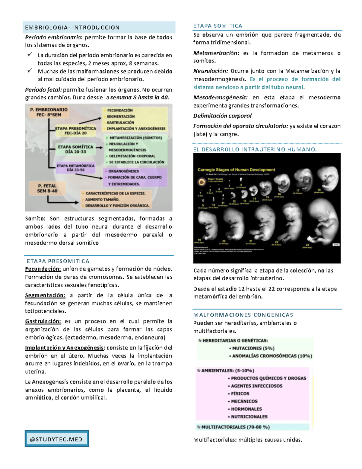 Embriologia - EMBRI OL OGI A - I N TRODU C C I ON Periodo embrionario ...