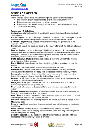 Scienceclinic Smartprep GR11 DBE ENG V3 - GRADE 11 DBE ESSENTIALS The ...