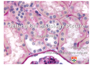 ANAT3009 - lecture note - ANAT3009: Functional Histology Wk1 ...