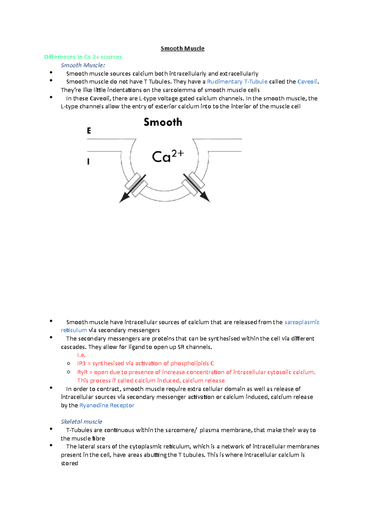 Smooth Muscle - They have a Rudimentary T-Tubule called the Caveoli ...