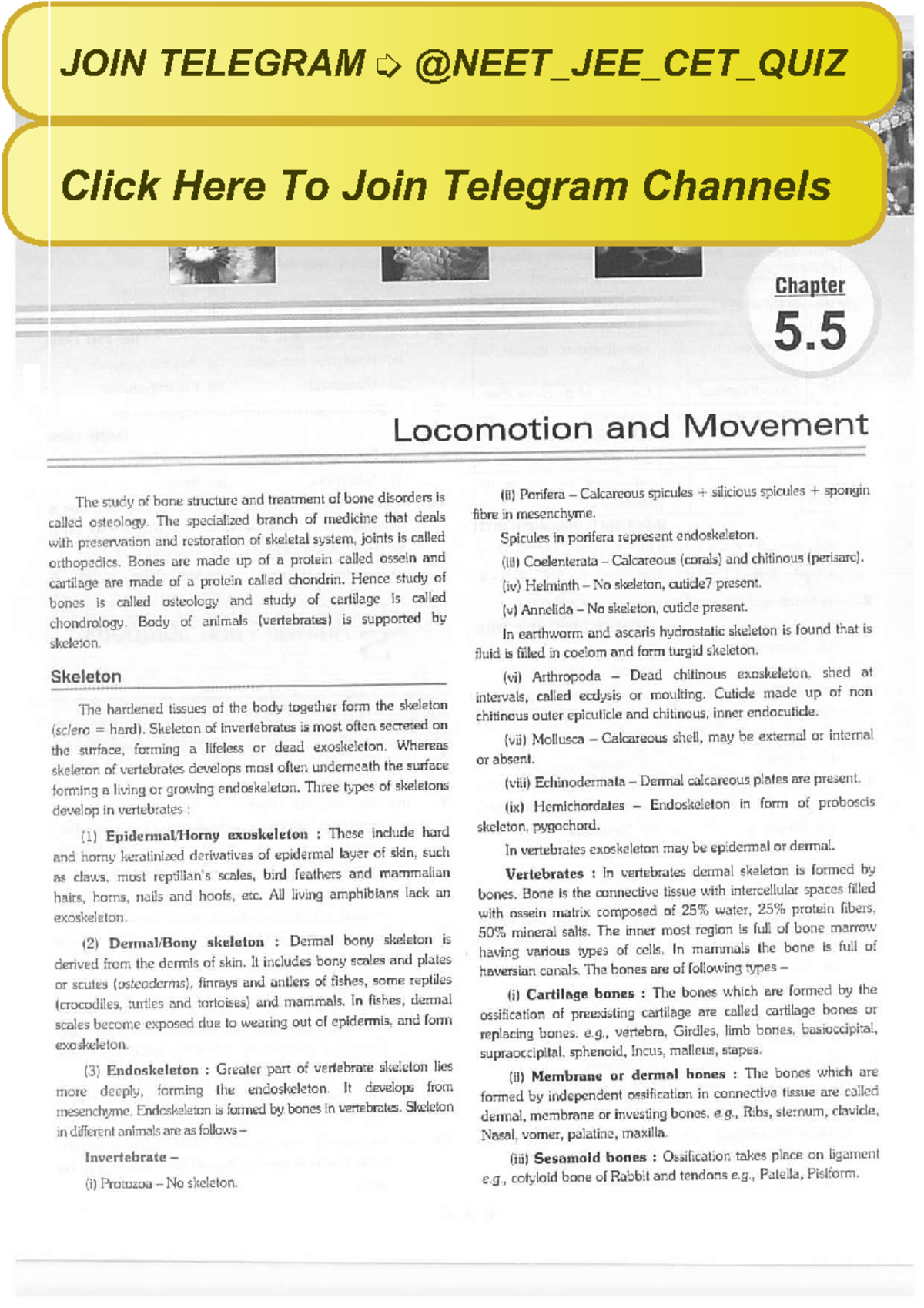 22. Locomotion AND Movement Biology Notes - B.tech CSE - Studocu