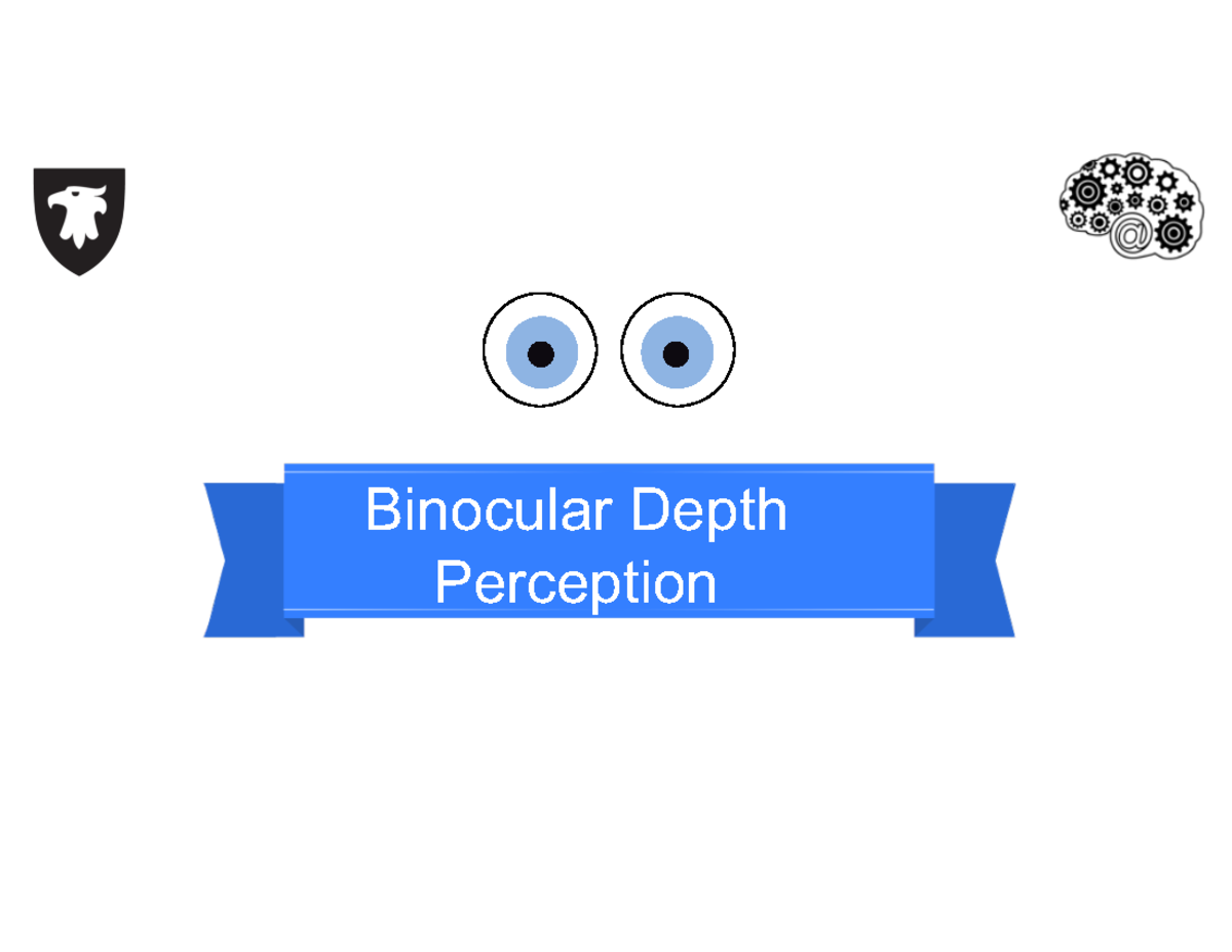 1011 Binocular Depth - yes - PSYO 1021 - Binocular Depth Perception ...
