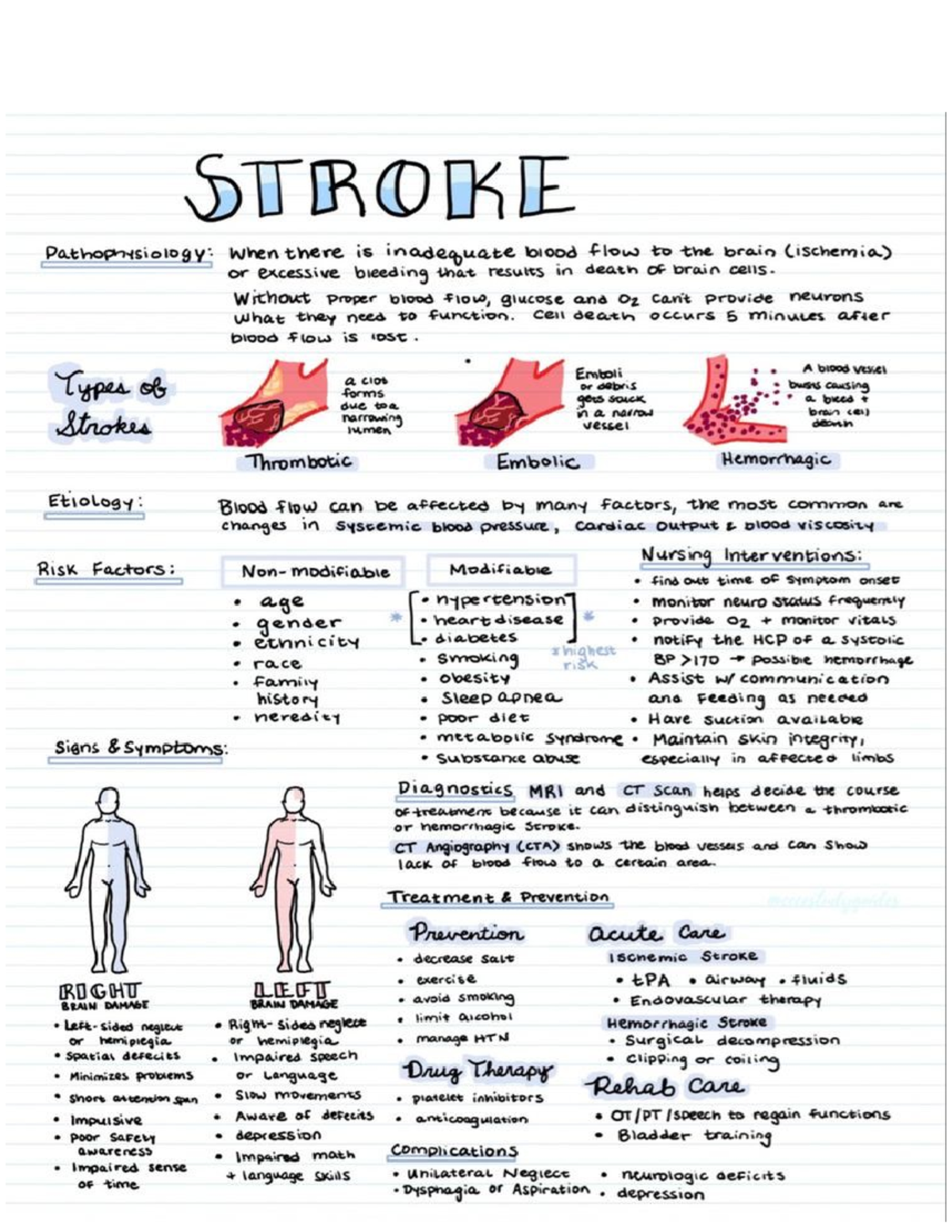 Stoke Notes - PHSL-P 261 - Studocu