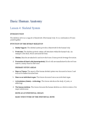 Basic Human Anatomy 11 - Basic Human Anatomy Lesson 11: Nervous System ...
