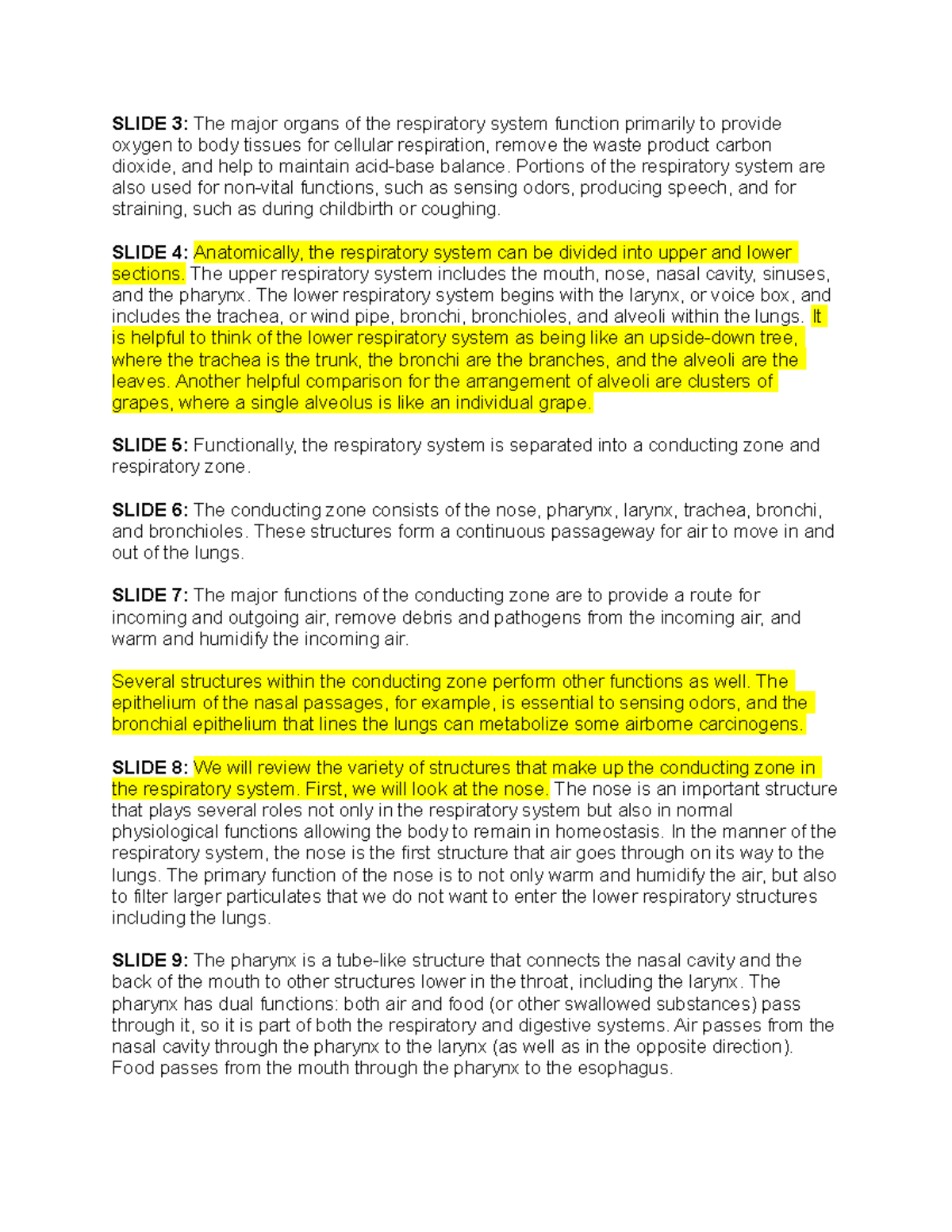 Respiratory System - Reporting Script and Guideline - SLIDE 3: The ...