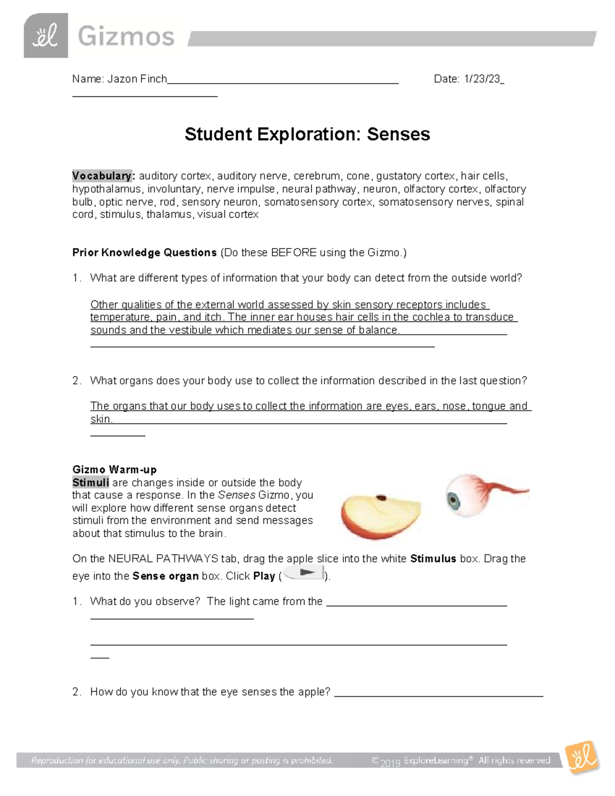 Senses SE - eeeee - Name: Jazon Finch Date: 1/23/ Student Exploration ...