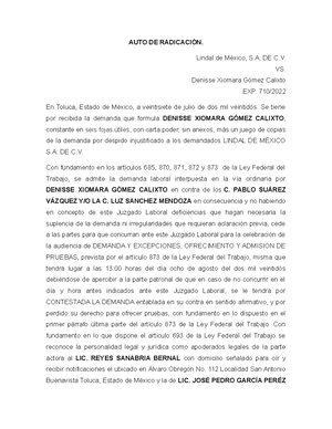 Machote demanda laboral 2023 - FORMATO DE DEMANDA LABORAL POR DESPIDO ...