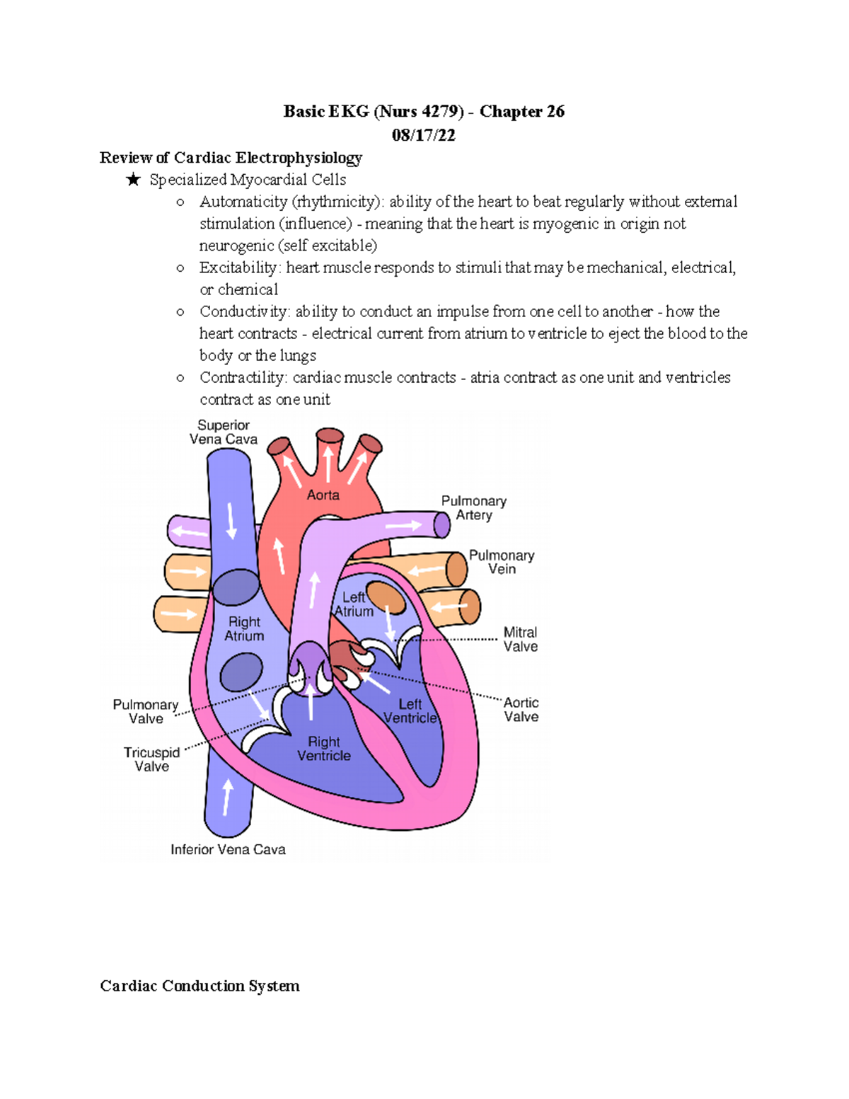 Basic EKG Outline - Basic EKG (Nurs 4279) - Chapter 26 08/17/ Review of ...