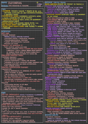 Concept map schizophrenia - Nursing Concept Map (Identify the risk ...