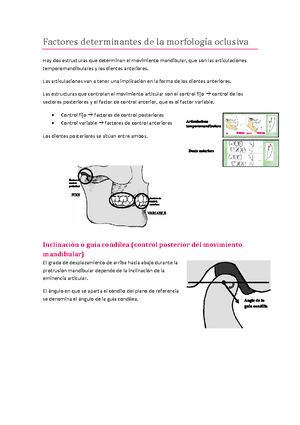 Oclusión funcional óptima - Oclusión funciónal óptima ¿Qué patrón ...