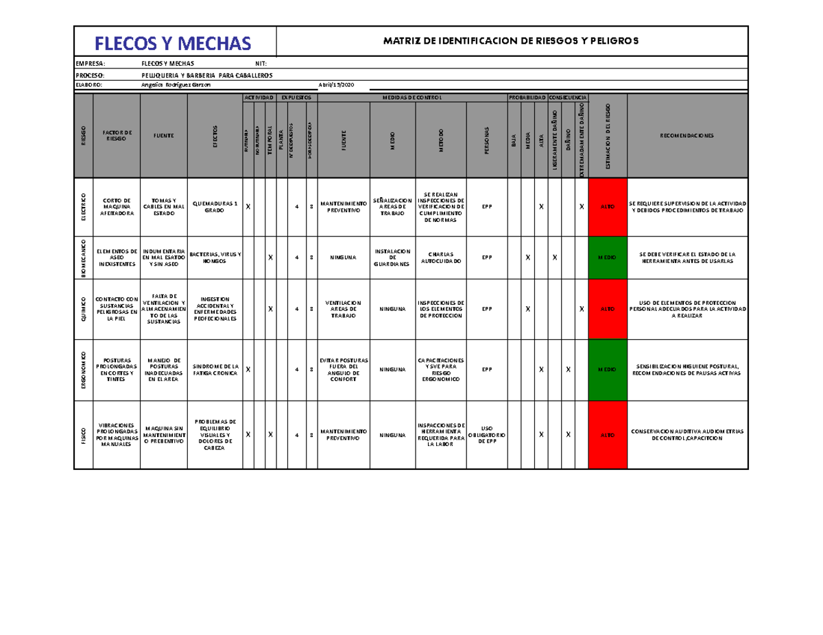 459682139 Matriz DE Riesgos Peluqueria Flecos Y Mellas xls - FLECOS Y ...