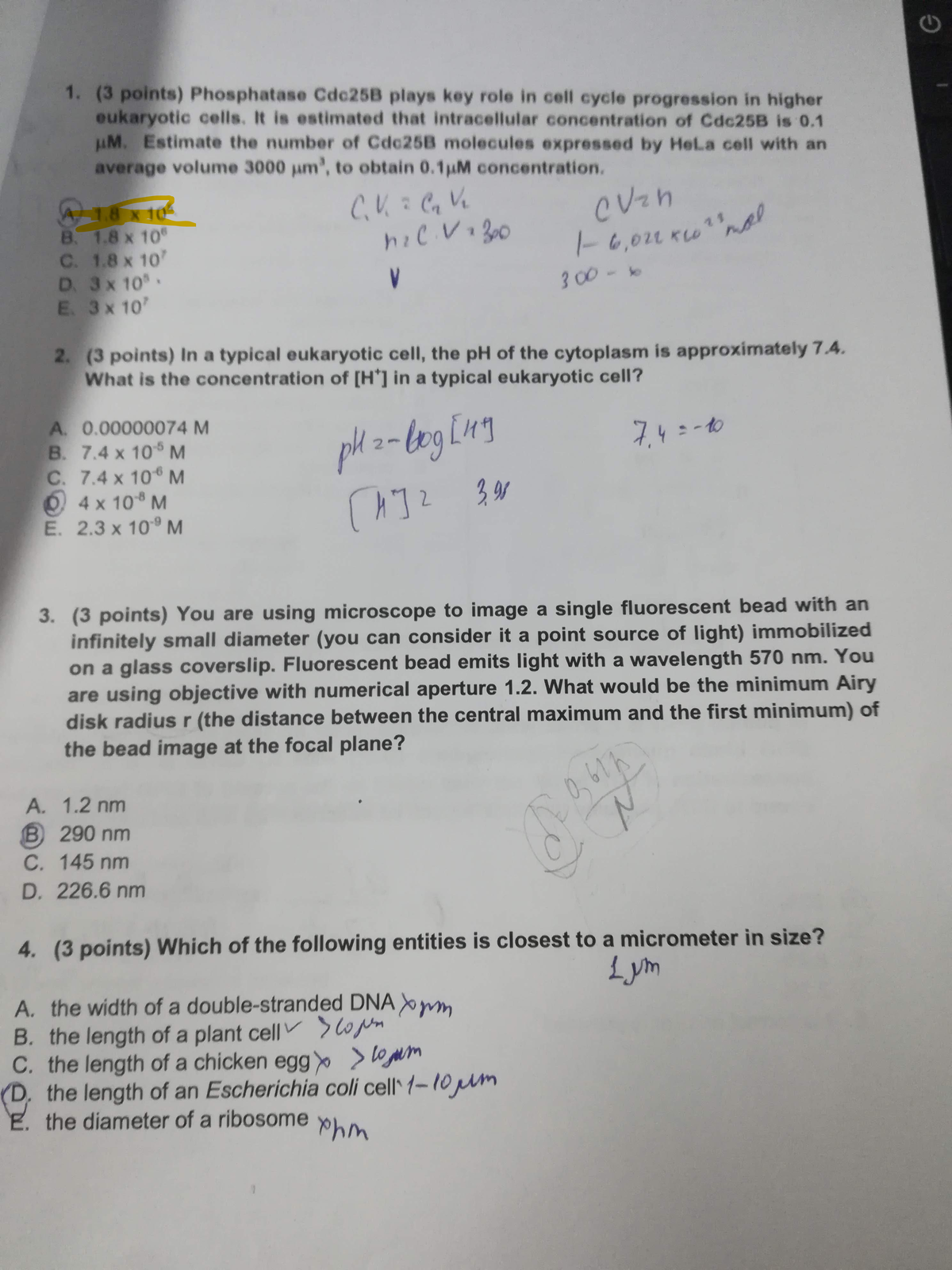 BIO 110 Midterm Fall 2019 - Modern Biology I Laboratory - Studocu