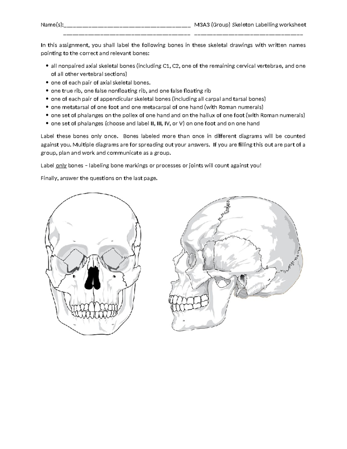 M3A3 Group Skeleton labeling assignment ...