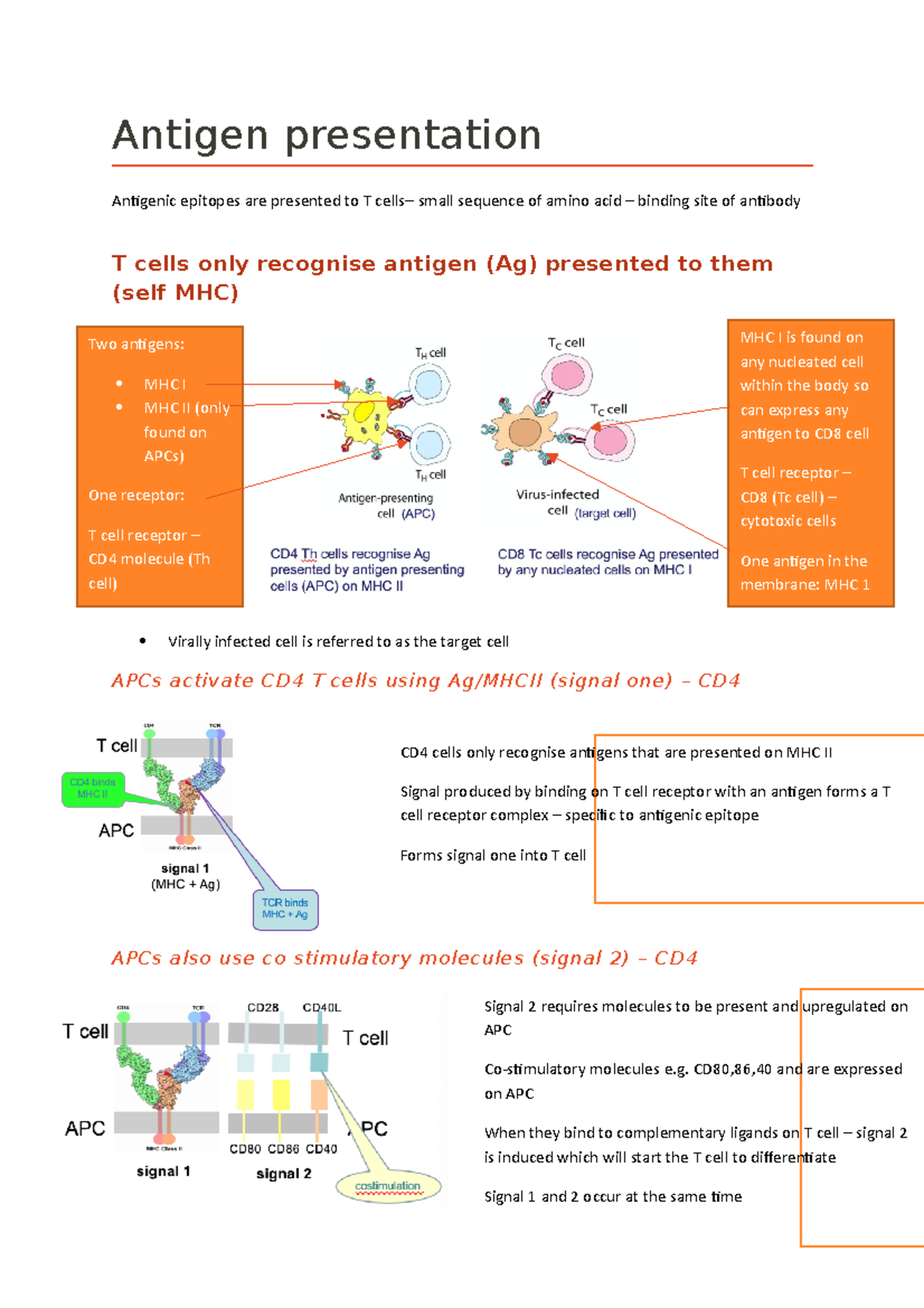 Antigen presentation Notes - UWE - Studocu