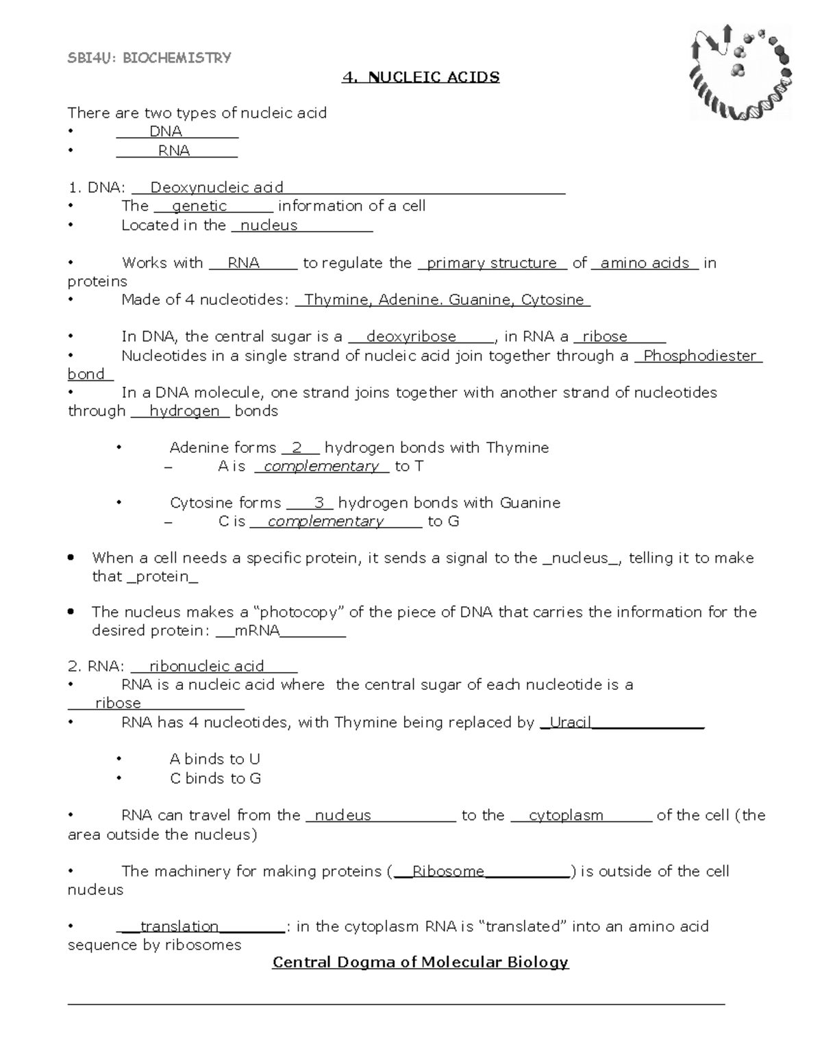 5nucleicacids HO nuceluidds nkvwuygbvjftfhvbjbftfhbmn gcfhv jvug ...