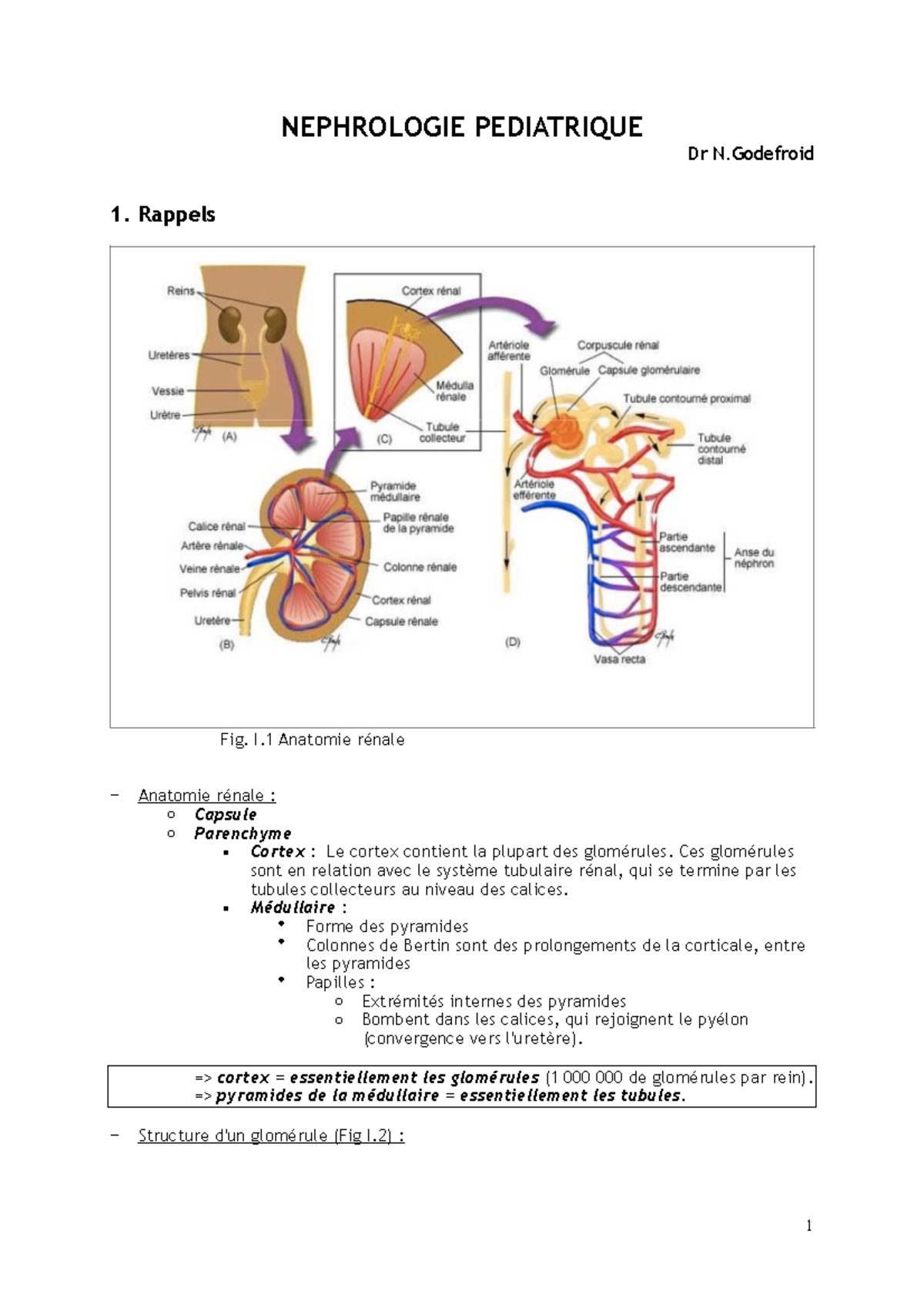 Résumé - complet - dactylographié - NEPHROLOGIE PEDIATRIQUE Dr N 1 Fig ...