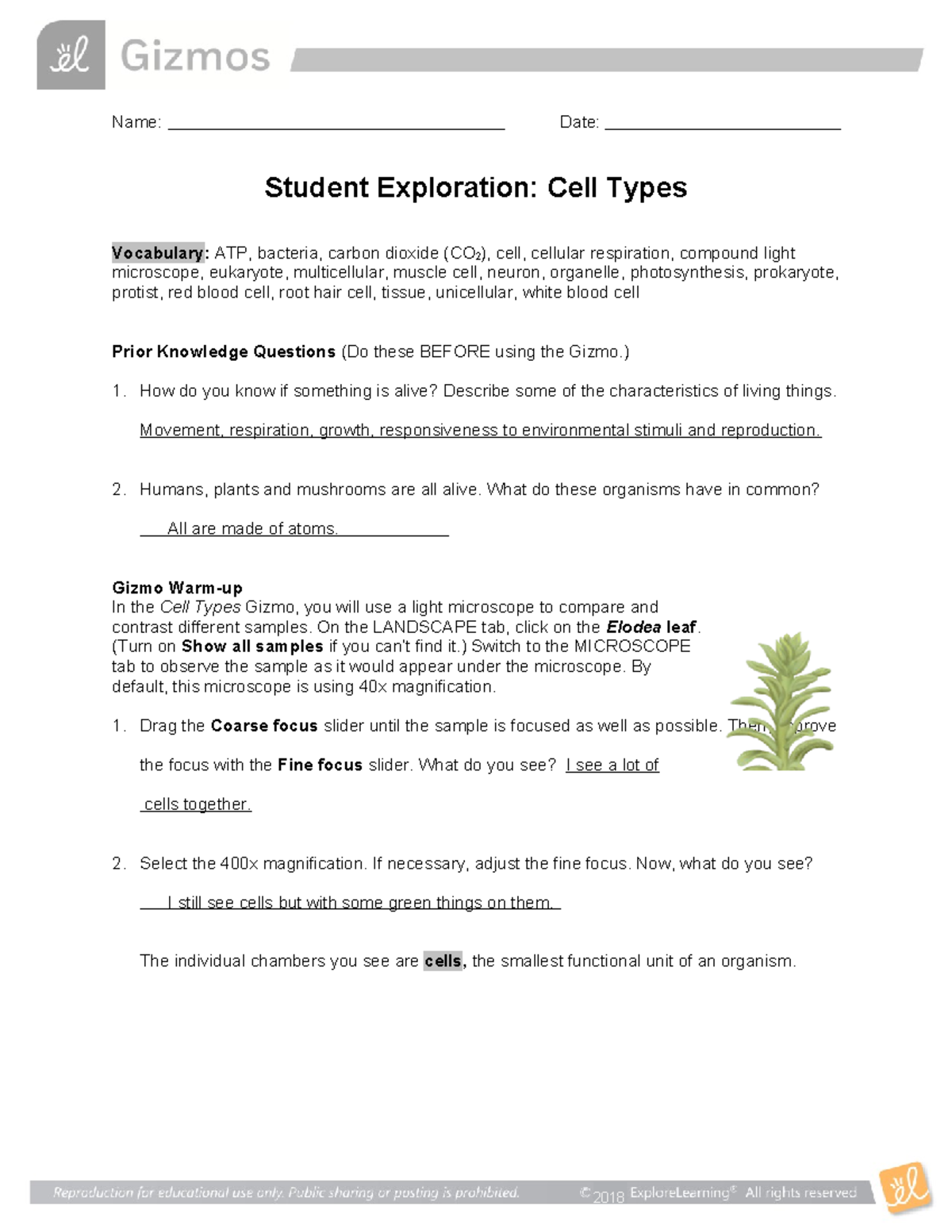 Cell Types SE - Name: Date: Student Exploration: Cell Types Vocabulary ...