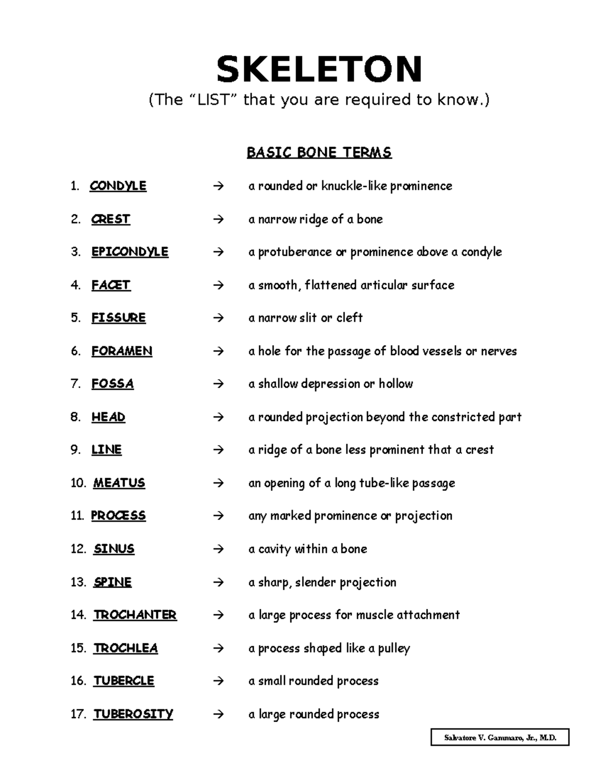 LIST - Bones (10-17) - A&P-1 - SKELETON (The “LIST” that you are ...