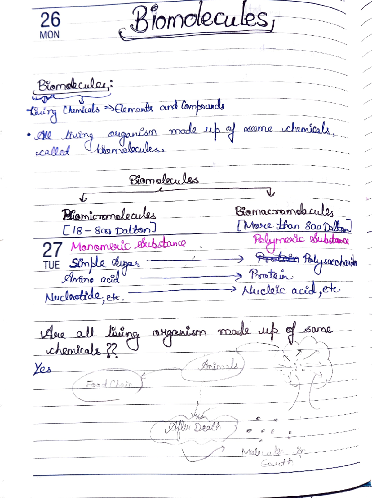 Biomolecules - These notes include all the biochemistry notes in ...