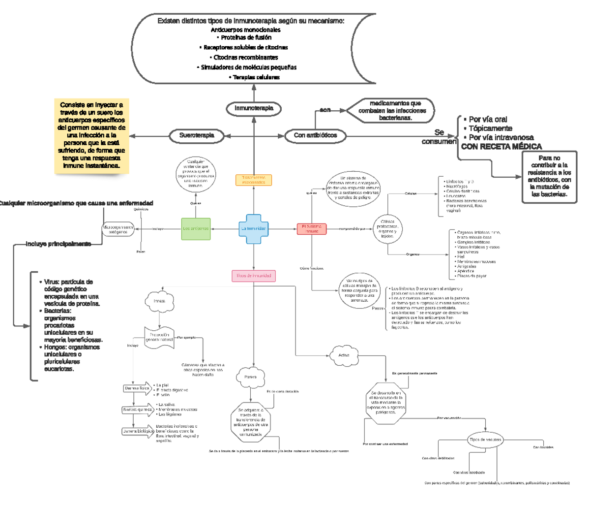 Mapa Conceptual De Inmunidad