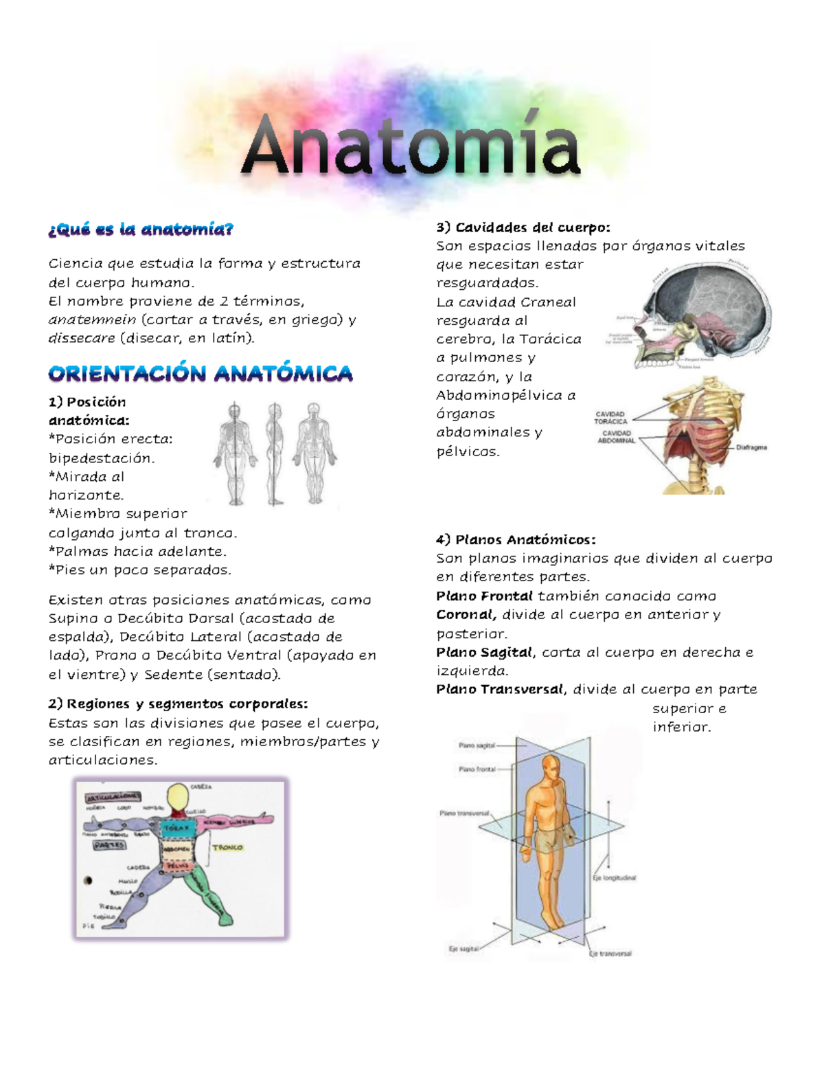 Anatomía 3 - Resumen eje anatómico - Ciencia que estudia la forma y ...