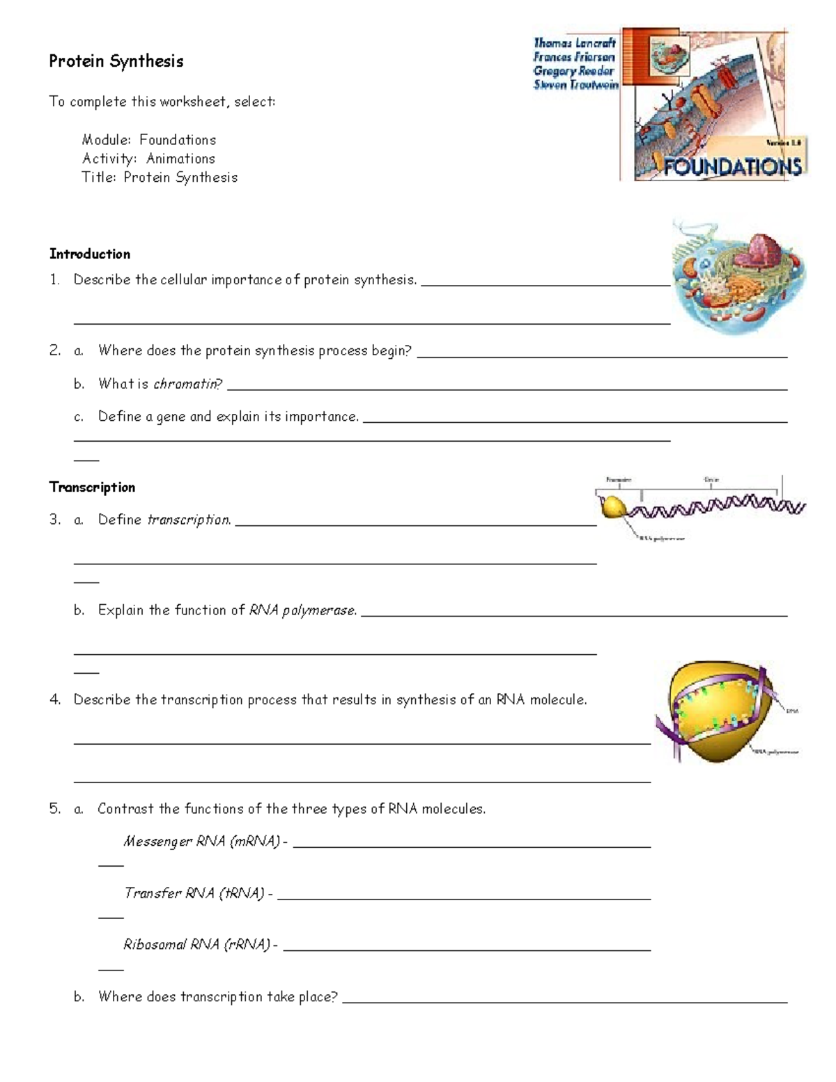 Anim protein synthesis worksheet - Protein Synthesis To complete this ...