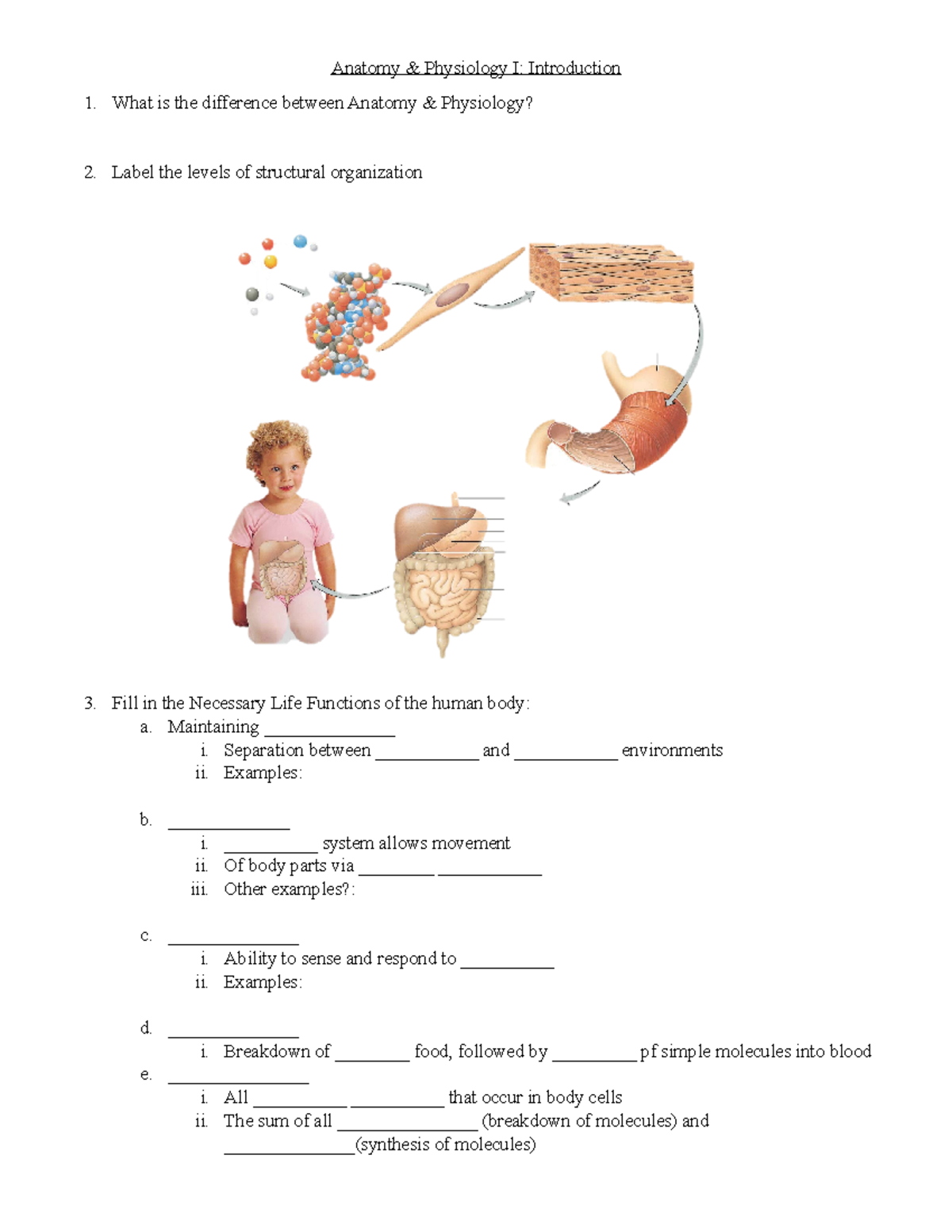 A&p I introl - fill in blanks downloads - Anatomy & Physiology I ...