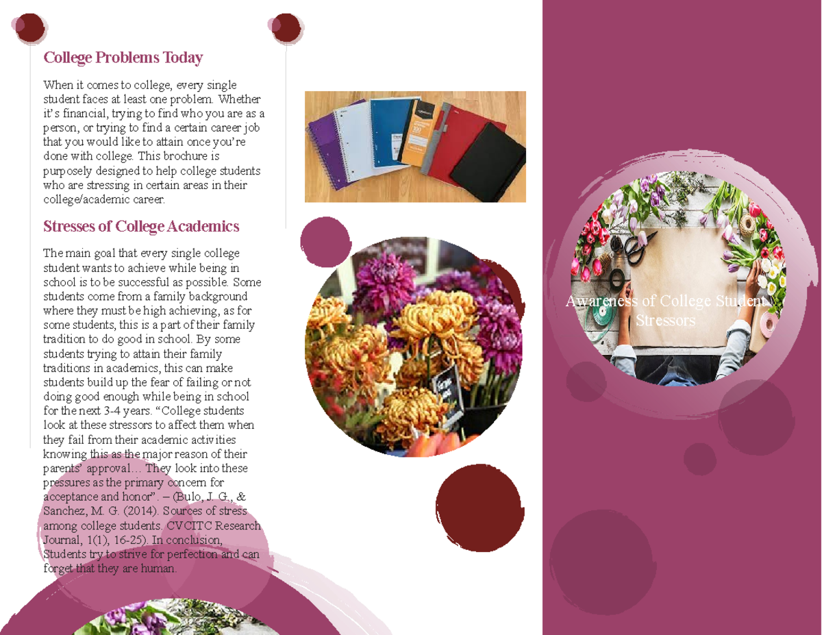 Stress Activity - brochure - College Problems Today When it comes to ...