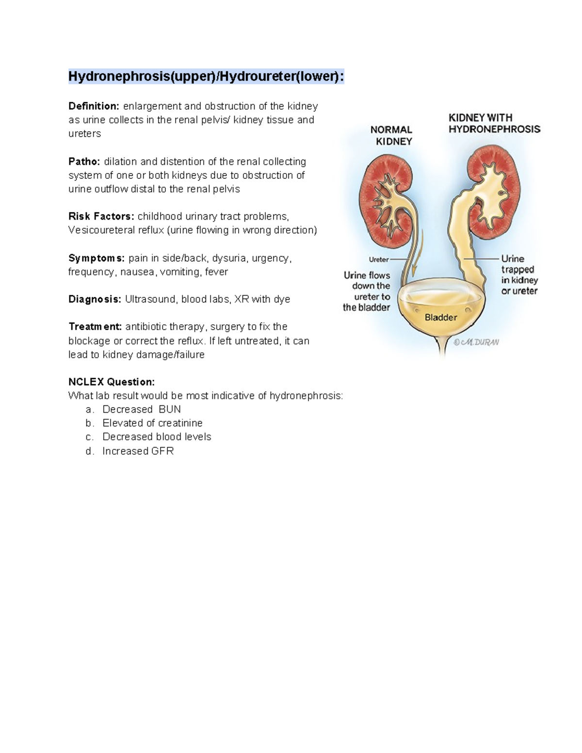 Hydronephrosis and Hydroureter - Hydronephrosis(upper)/Hydroureter ...