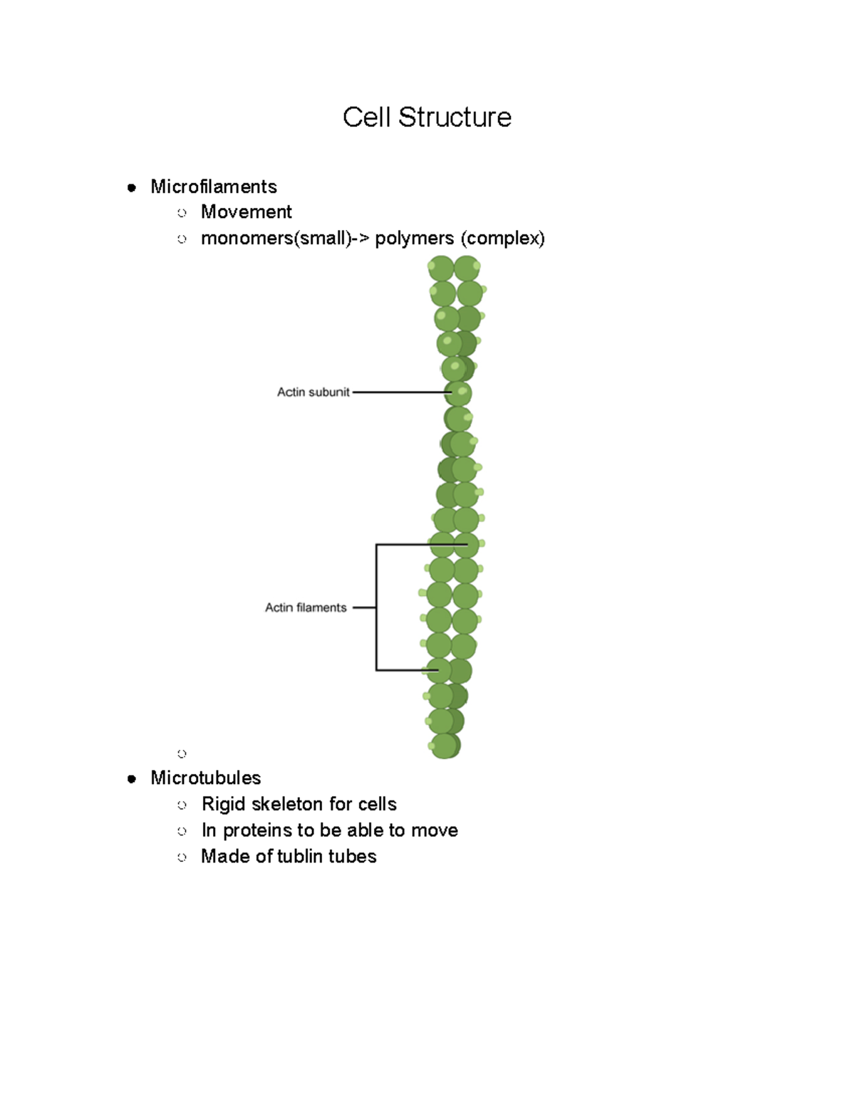 Microfilament Structure